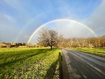 Harrogate - BBC Weather