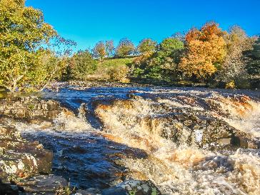 Whitby - BBC Weather
