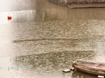 Torquay - BBC Weather