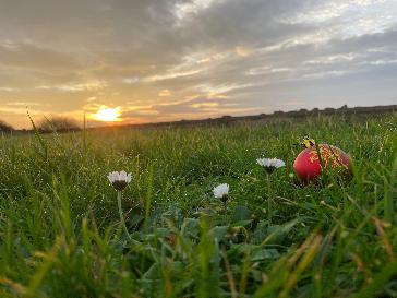Swansea - BBC Weather