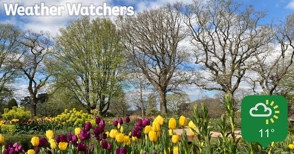 Report - BBC Weather Watchers