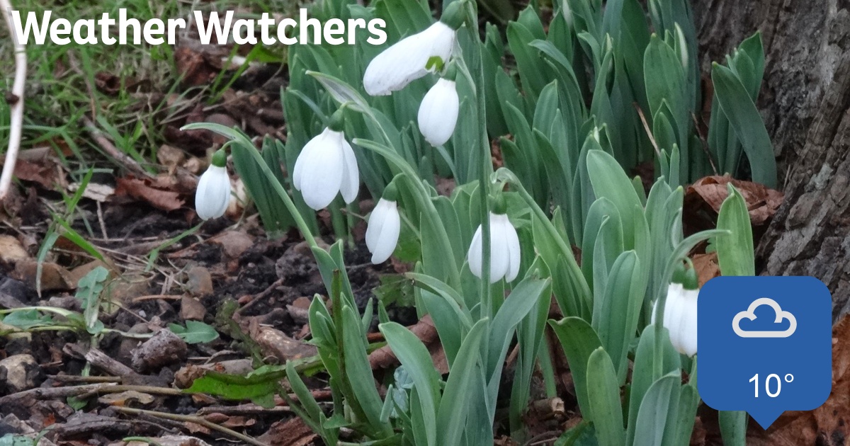 Report - BBC Weather Watchers