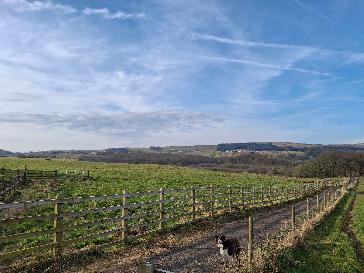 Lancaster - BBC Weather