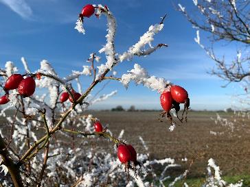 Grantham - BBC Weather