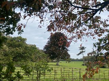 Crawley - BBC Weather