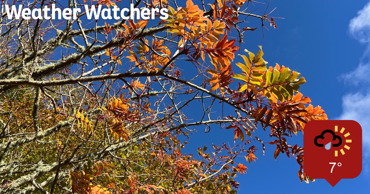 Report - BBC Weather Watchers