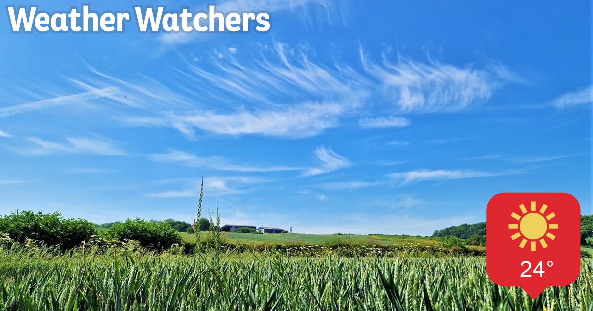 Report - BBC Weather Watchers