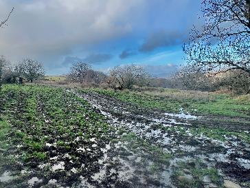 Newport - BBC Weather