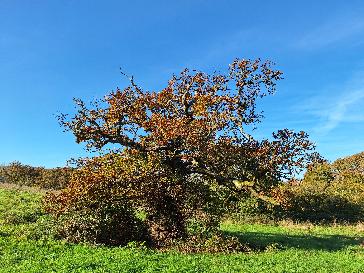 Cardiff - BBC Weather