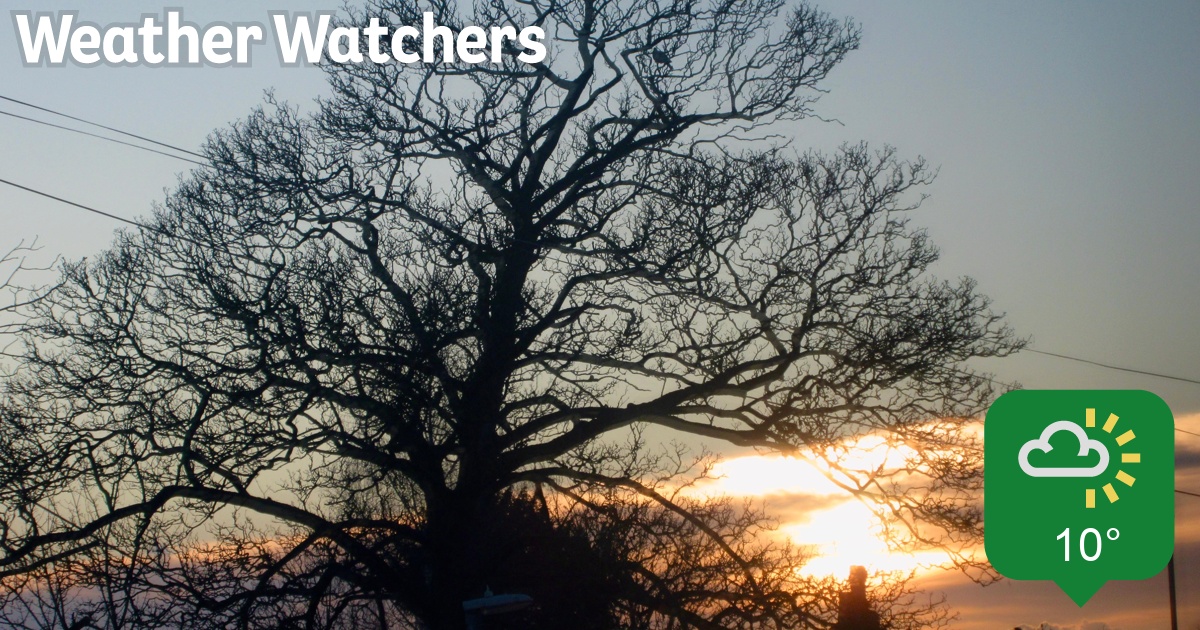 Report - BBC Weather Watchers