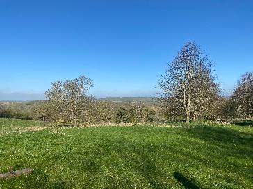 Northampton - BBC Weather