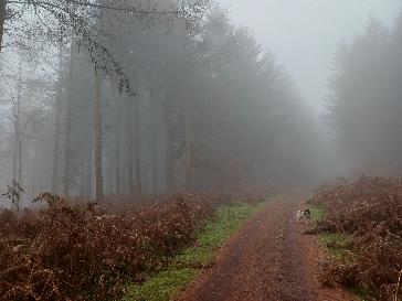 Droitwich - BBC Weather