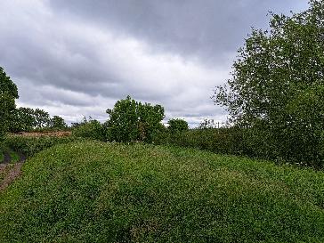 Harrogate - BBC Weather