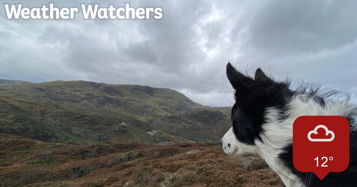 Report - BBC Weather Watchers