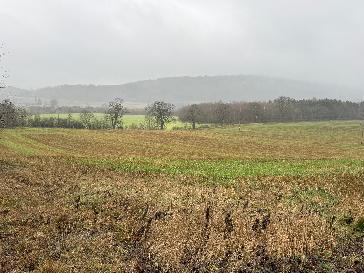 Stirling - BBC Weather