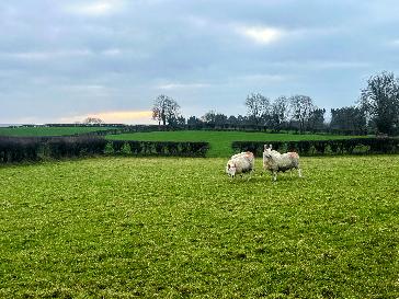 Killyleagh - BBC Weather