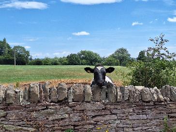 Redditch - BBC Weather