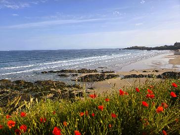 Camborne - BBC Weather