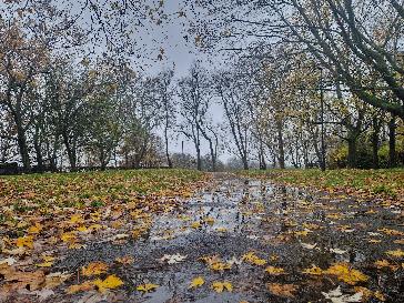 Hayes (Bromley) - BBC Weather