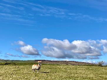 Keswick - BBC Weather