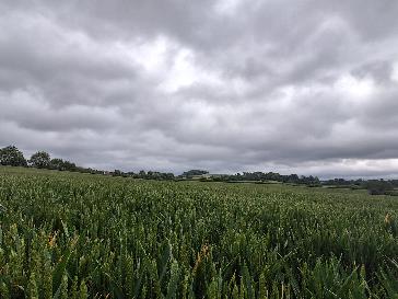 NG16 - BBC Weather