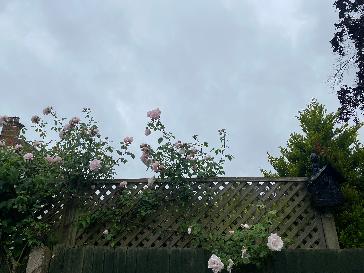 Addlestone - BBC Weather