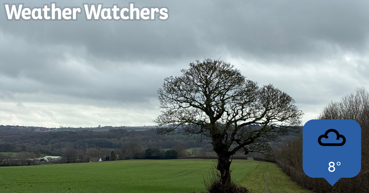 Report - BBC Weather Watchers
