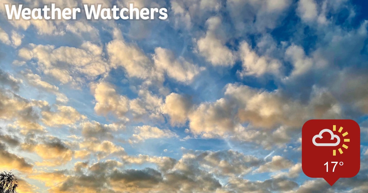Report - BBC Weather Watchers