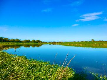 Crawley Down - BBC Weather
