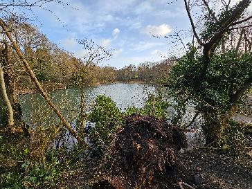 Wolverhampton Airport - BBC Weather