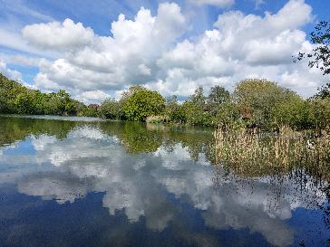 Farnborough - BBC Weather