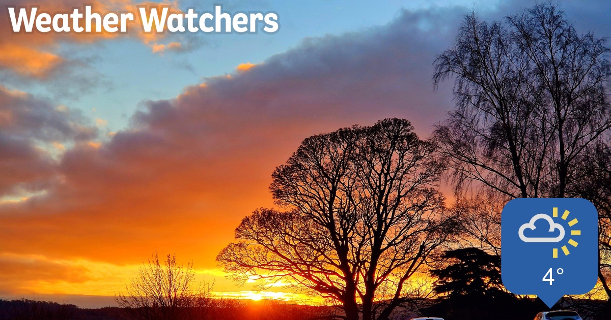 Report - BBC Weather Watchers