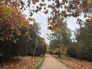 Holywell - BBC Weather