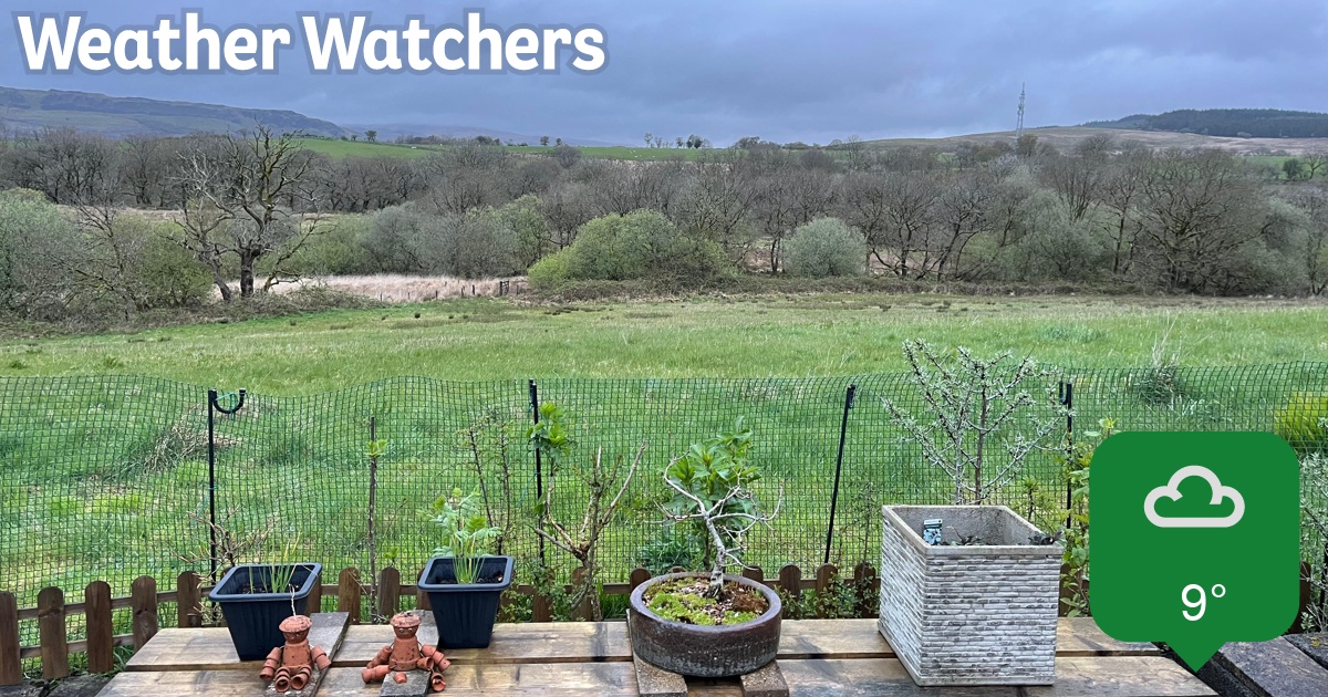 Report - BBC Weather Watchers
