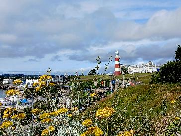 Exmouth - BBC Weather