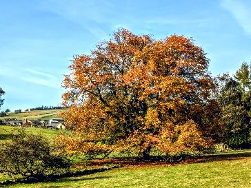Burton - BBC Weather