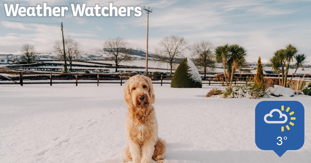 Report - BBC Weather Watchers
