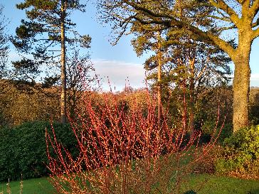Exeter - BBC Weather