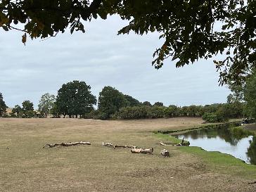 Wolverhampton - BBC Weather