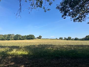 Farnborough - BBC Weather