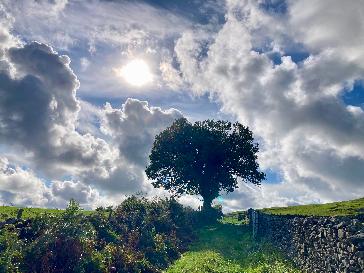 Carlisle - BBC Weather
