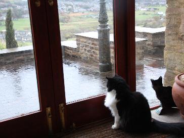 Leyland - BBC Weather