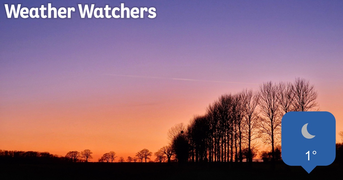 Report - BBC Weather Watchers