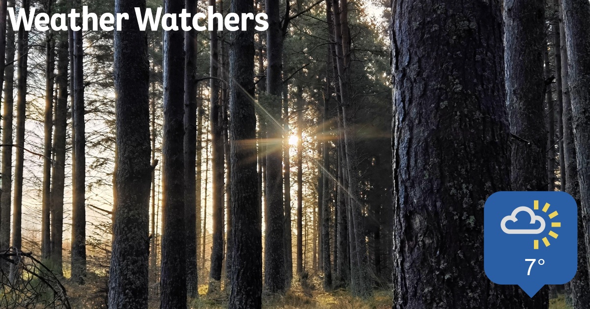 Report - BBC Weather Watchers