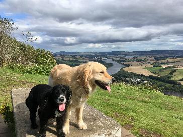 Dundee - BBC Weather