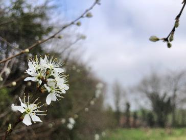 Exeter - BBC Weather