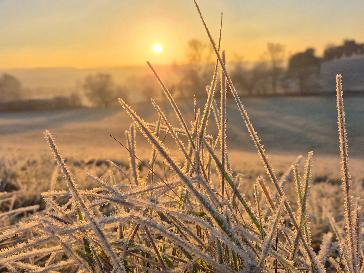 Maidstone - BBC Weather