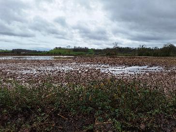 Pershore - BBC Weather