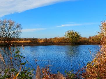 Southery - BBC Weather