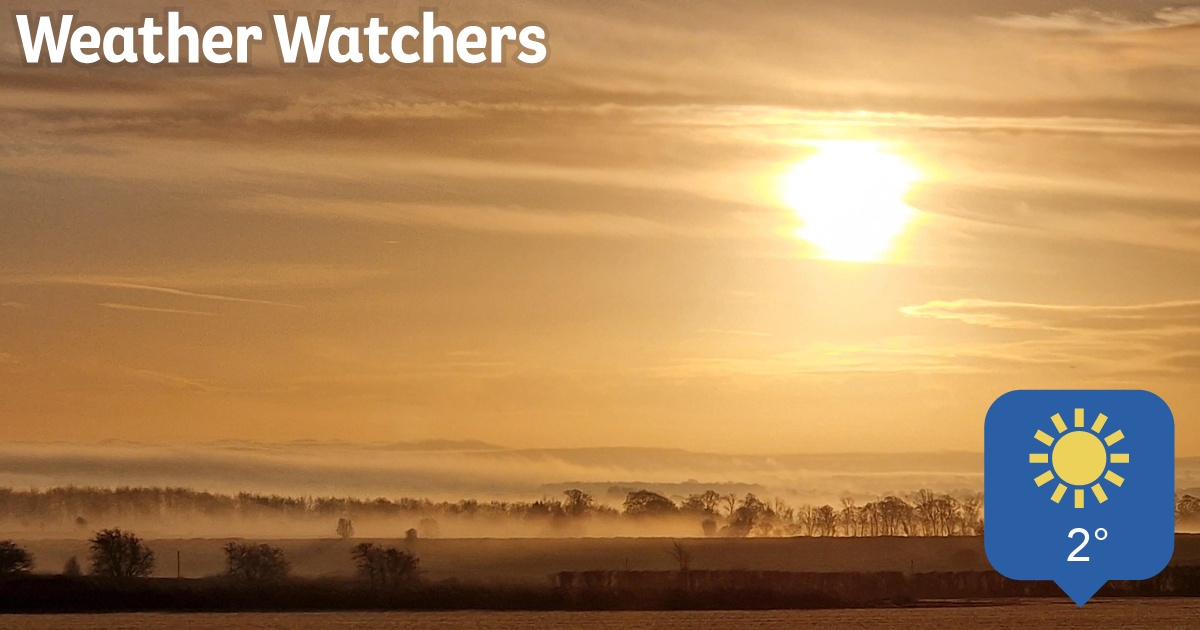 Report - BBC Weather Watchers